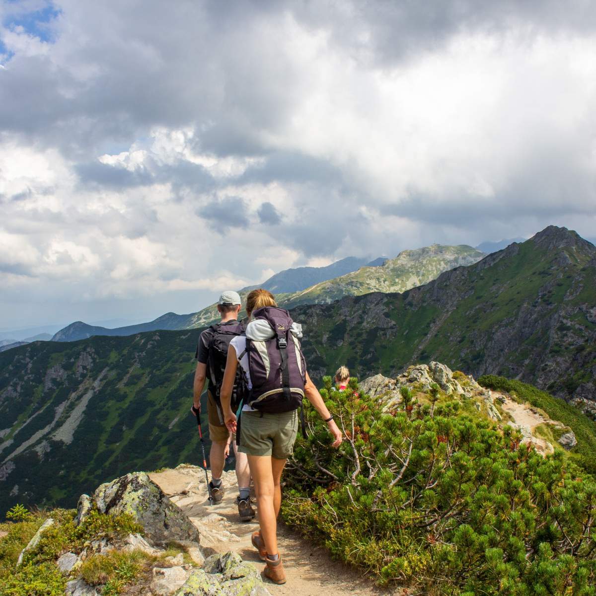 Preparing Your Body for Summer Part I: Practice Similar Exercises in ...